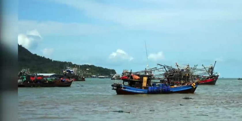 Easing Restrictions: Catching of squid granted during May | Myanmar International TV